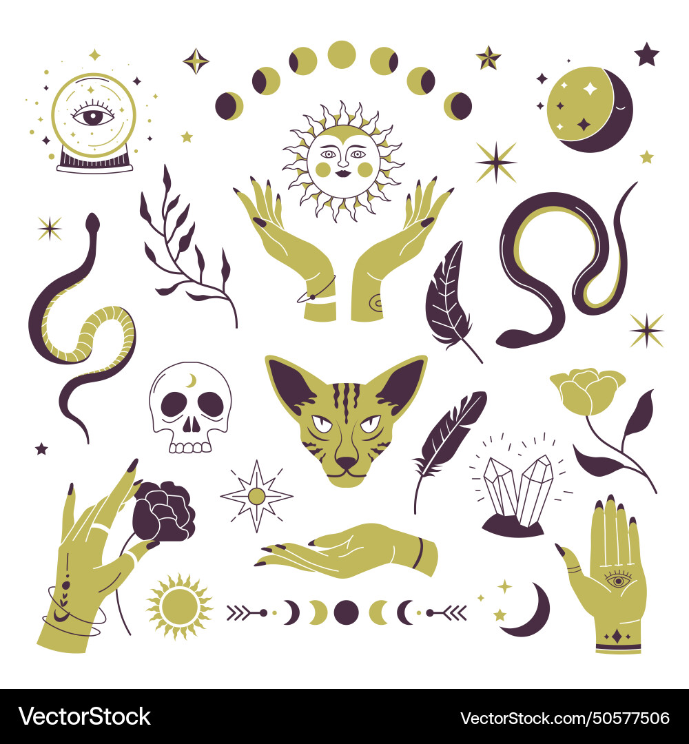 Mystic esoteric magic elements boho collection Vector Image