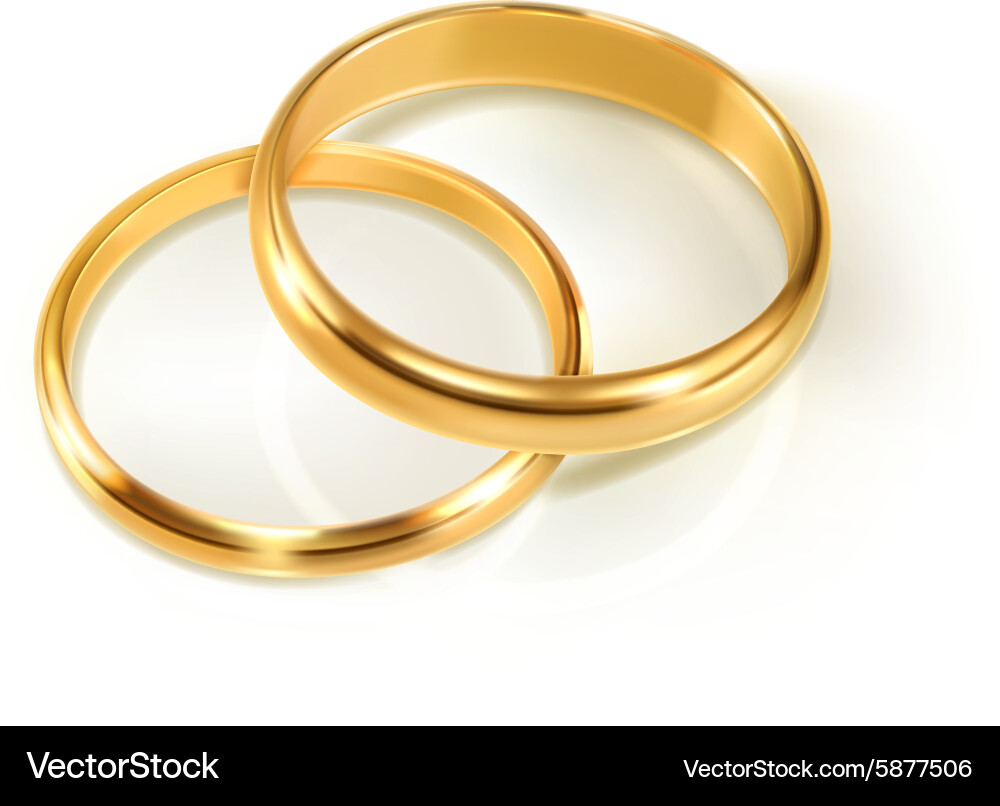 Pair of wedding rings Royalty Free Vector Image
