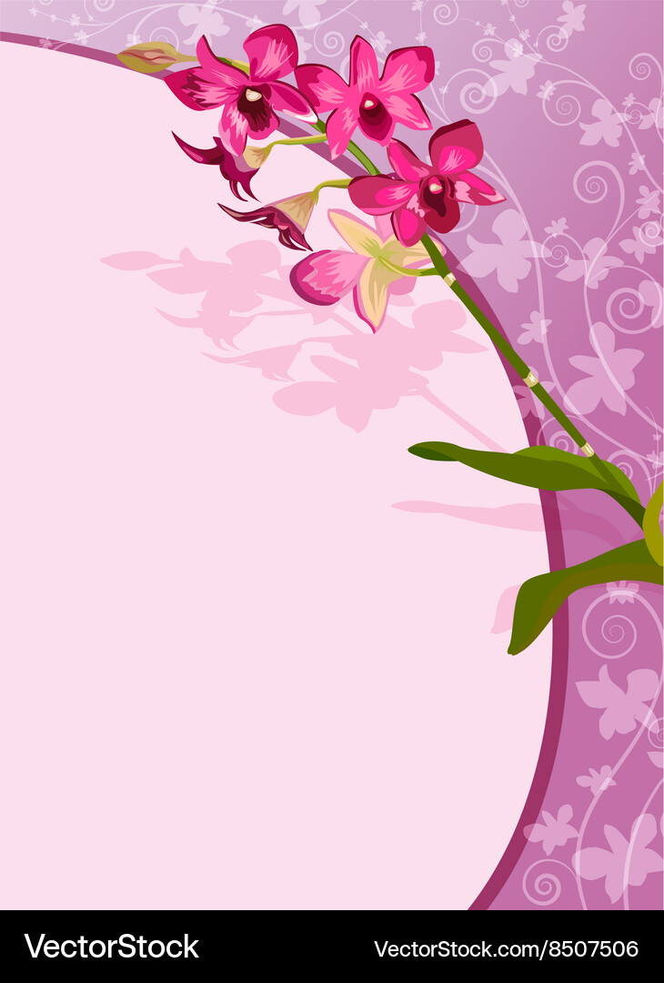 Pink Orchid Floral Background – Royalty-Free Vector | VectorStock