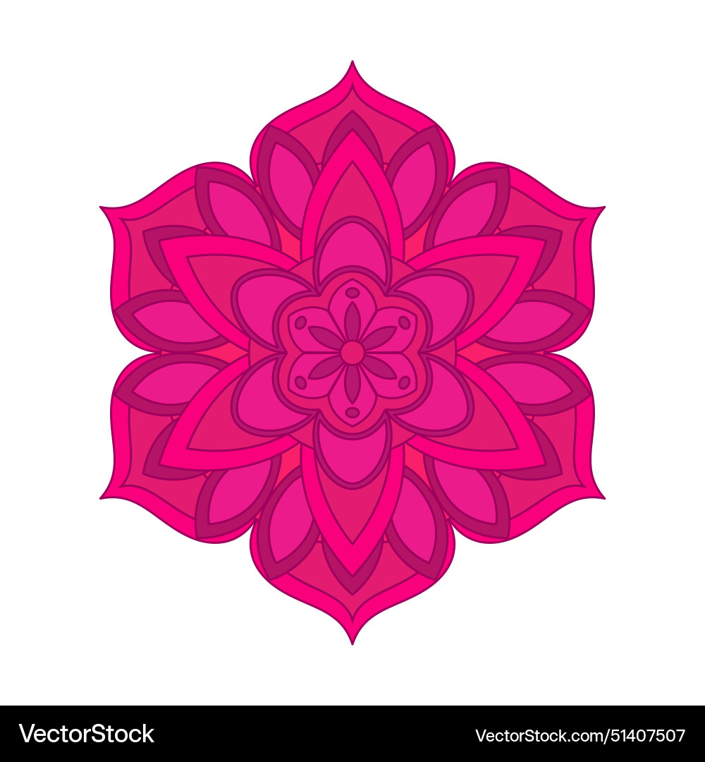 Circular colorful floral mandala Royalty Free Vector Image