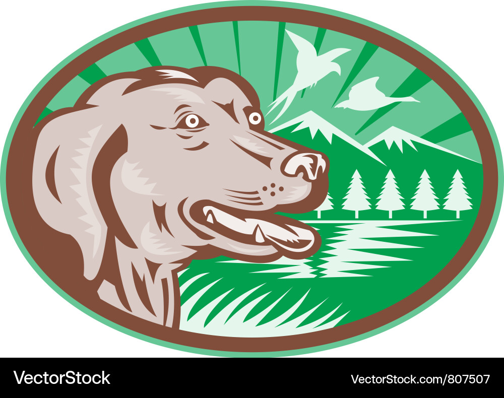 Labrador retriever Royalty Free Vector Image - VectorStock