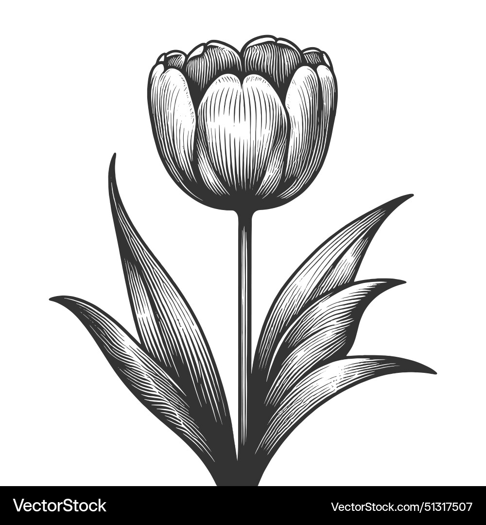 Flowers Engraving Vector Images (over 41,000)