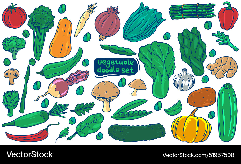 Colorful vegetable doodle set hand drawn Vector Image