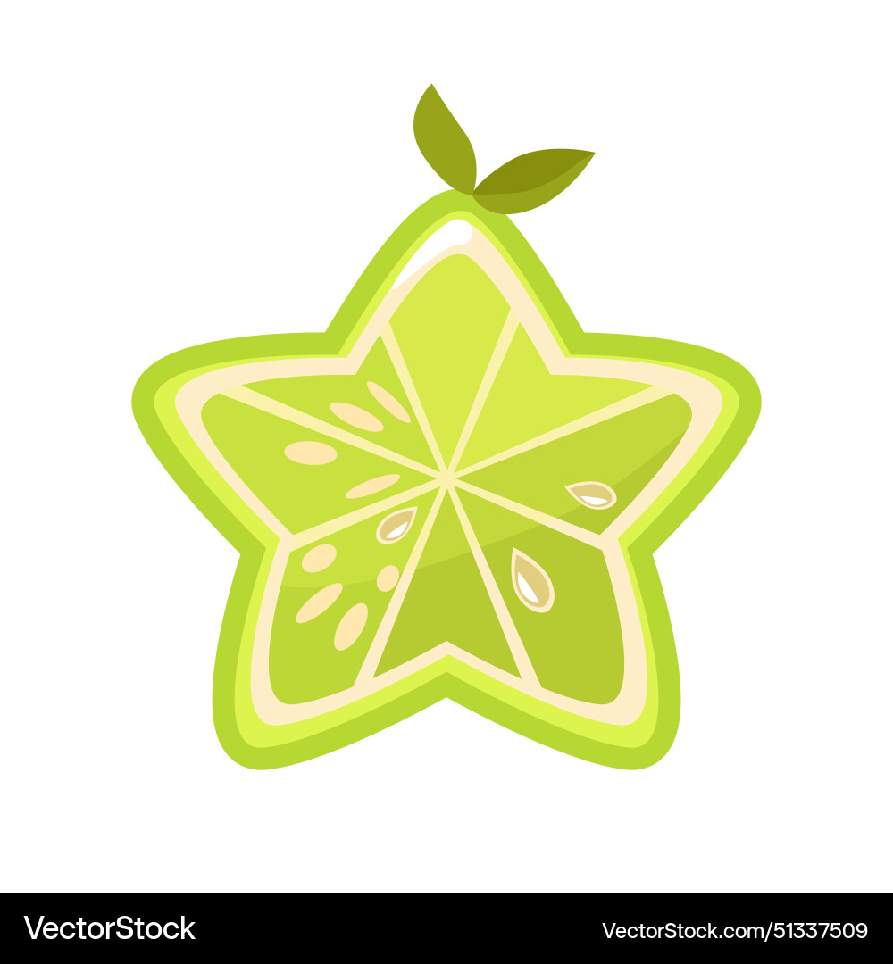 Cute green lime slices star-shaped half Royalty Free Vector