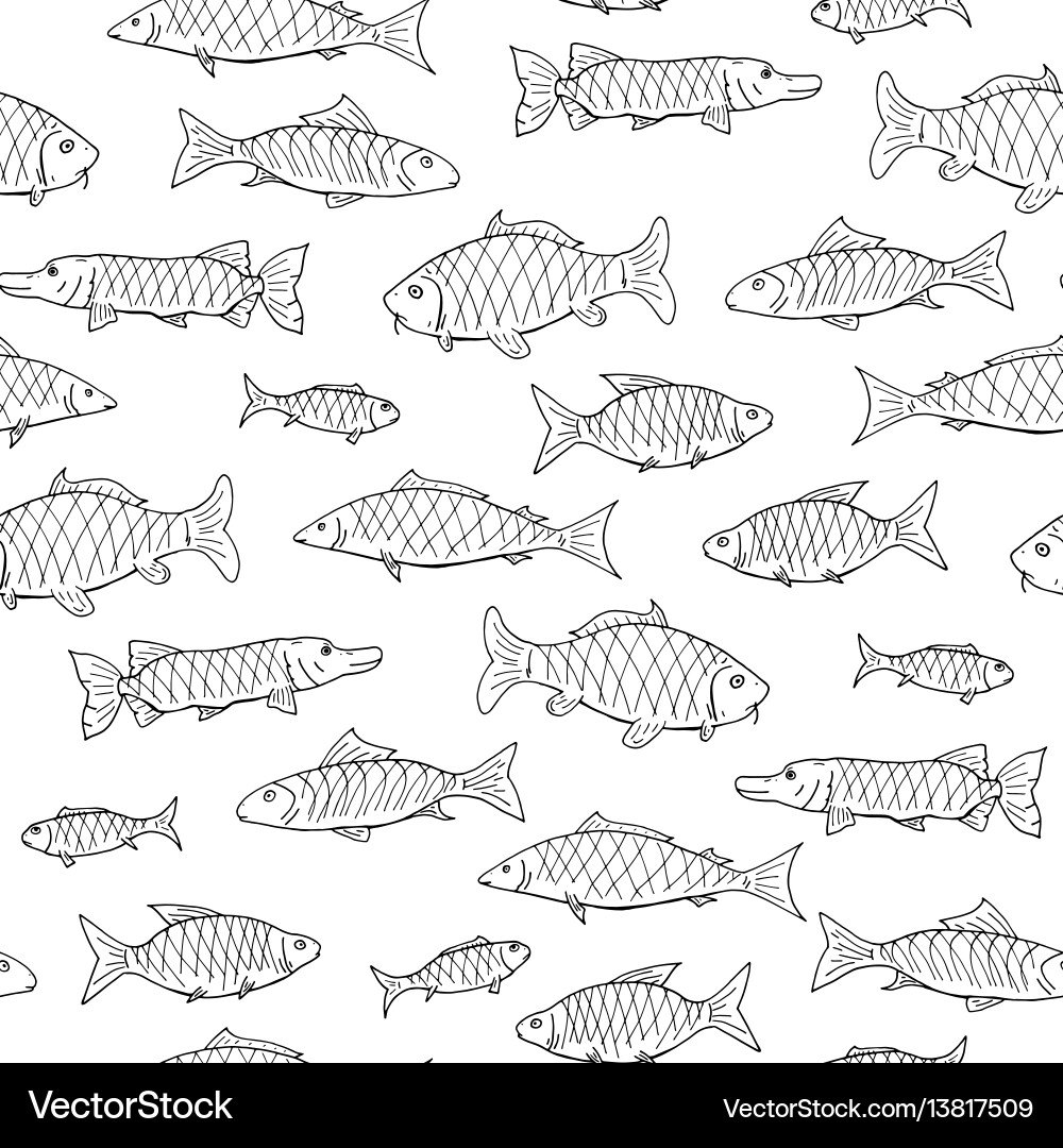 Fish seamless pattern in doodle style hand drawn Vector Image