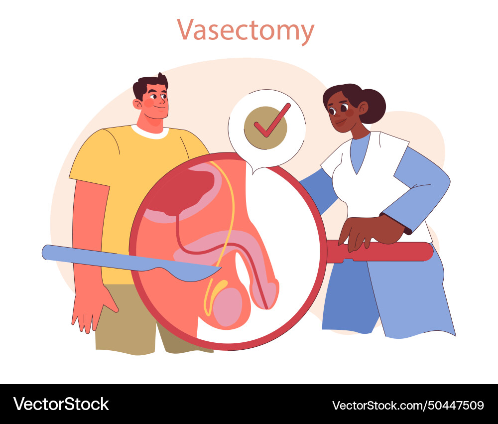 Types of contraception man considers vasectomy Vector Image