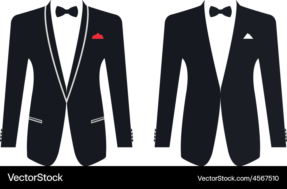 Men formal suit on a white background Royalty Free Vector