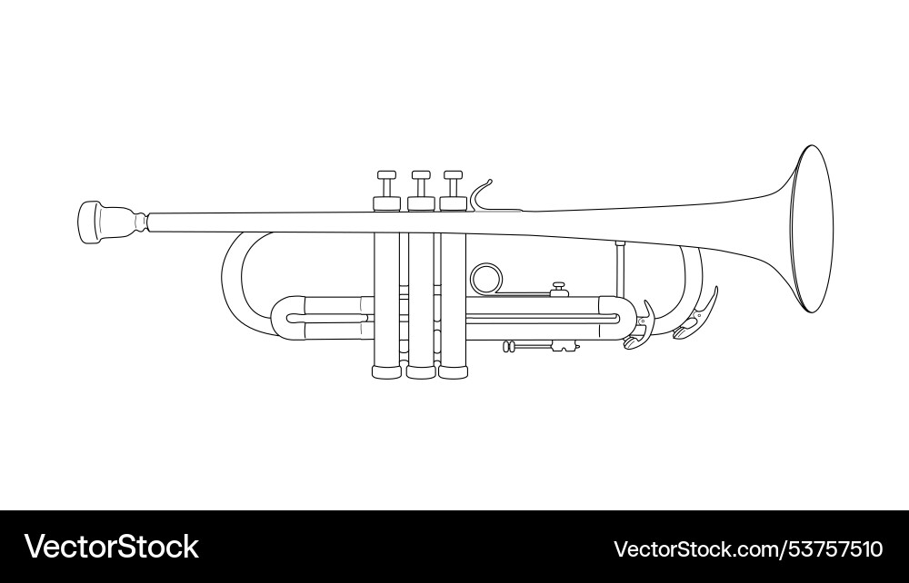 Trumpet line art Royalty Free Vector Image - VectorStock