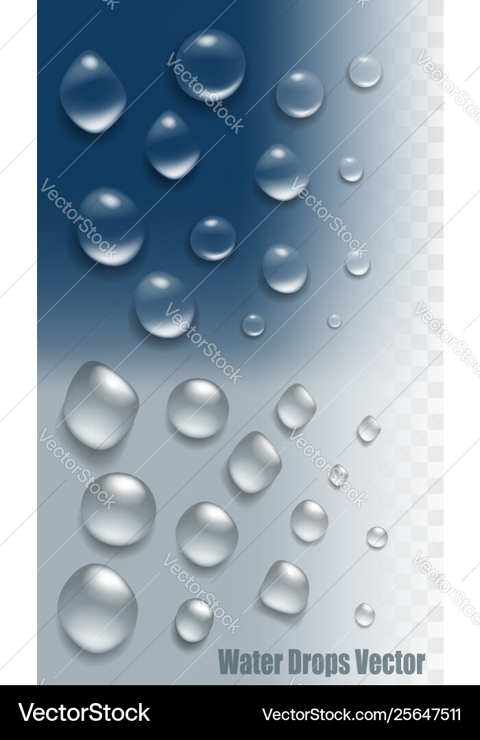 Collection with drops water on a transparent Vector Image
