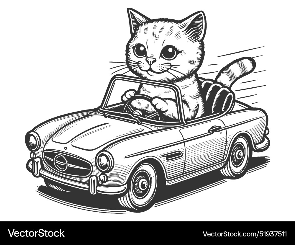 Cute cat driving a vintage car Royalty Free Vector Image