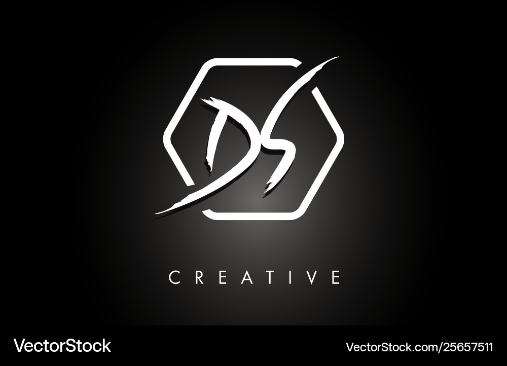 Ds d s brushed letter logo design with creative Vector Image
