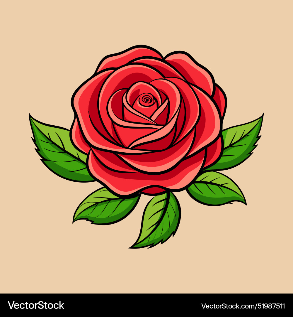 Rose Royalty Free Vector Image - VectorStock