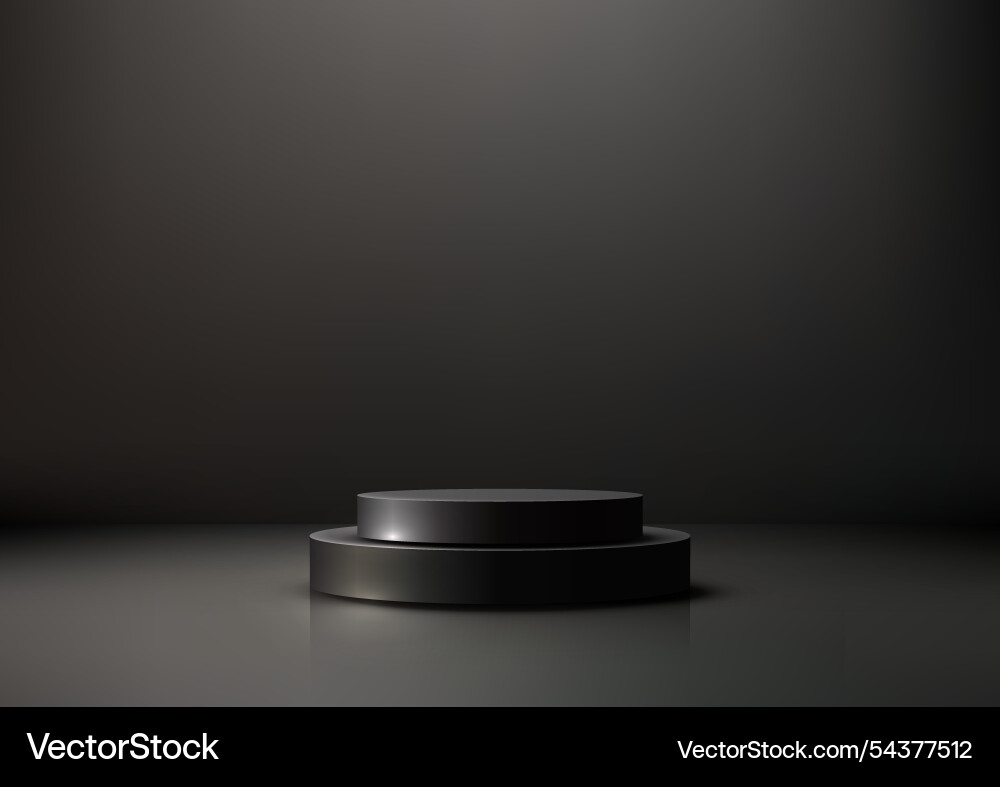 3d black circular platforms on dark background Vector Image
