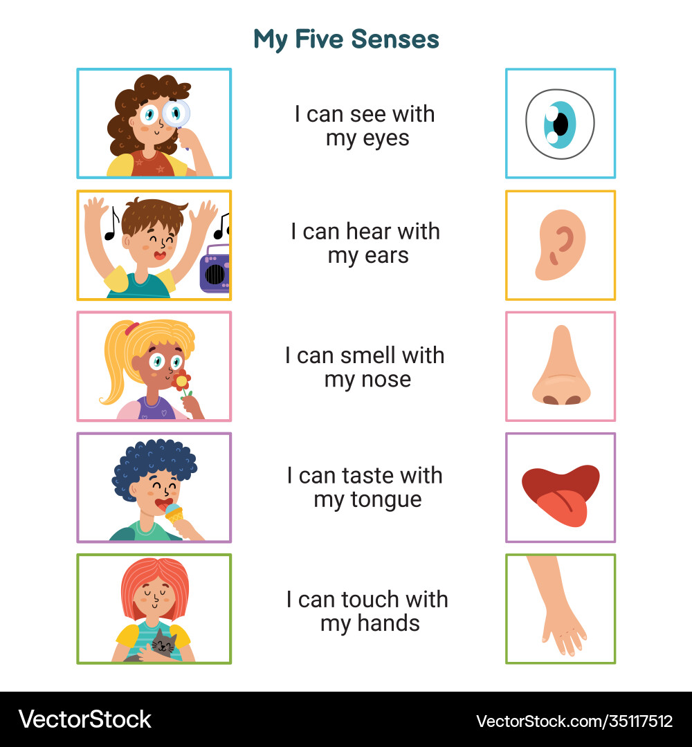 My five senses educational poster for kids sight Vector Image