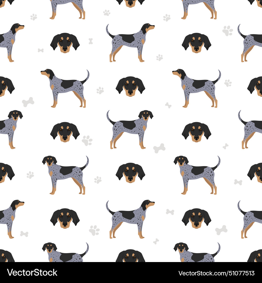 Bluetick coonhound seamless pattern different Vector Image