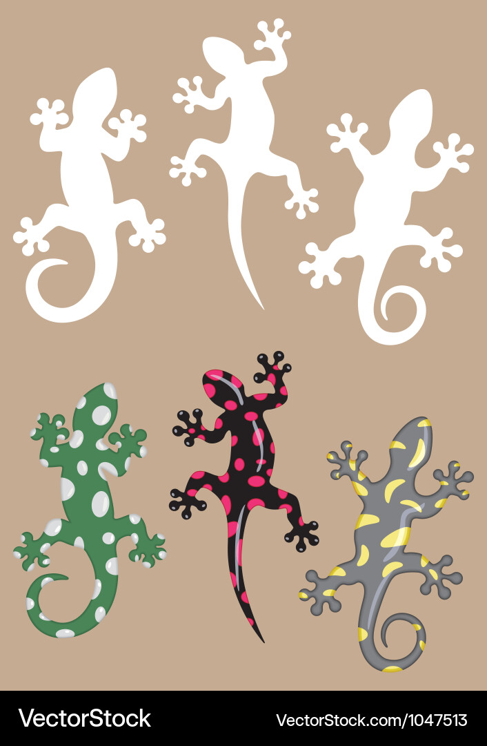 Gecko Royalty Free Vector Image - VectorStock