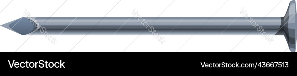 Nail construction and carpentry fastener hardware Vector Image