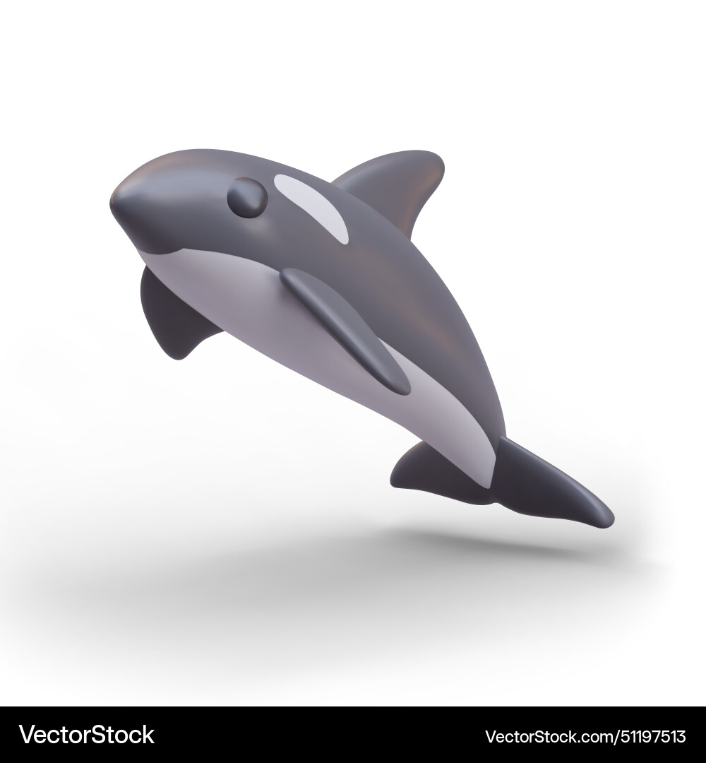 Realistic big orca swimming on white background Vector Image