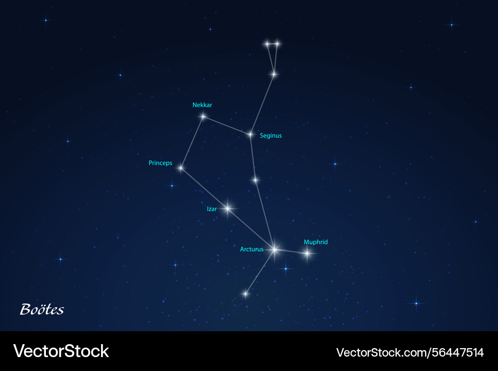 Bootes constellation with star names in night sky Vector Image