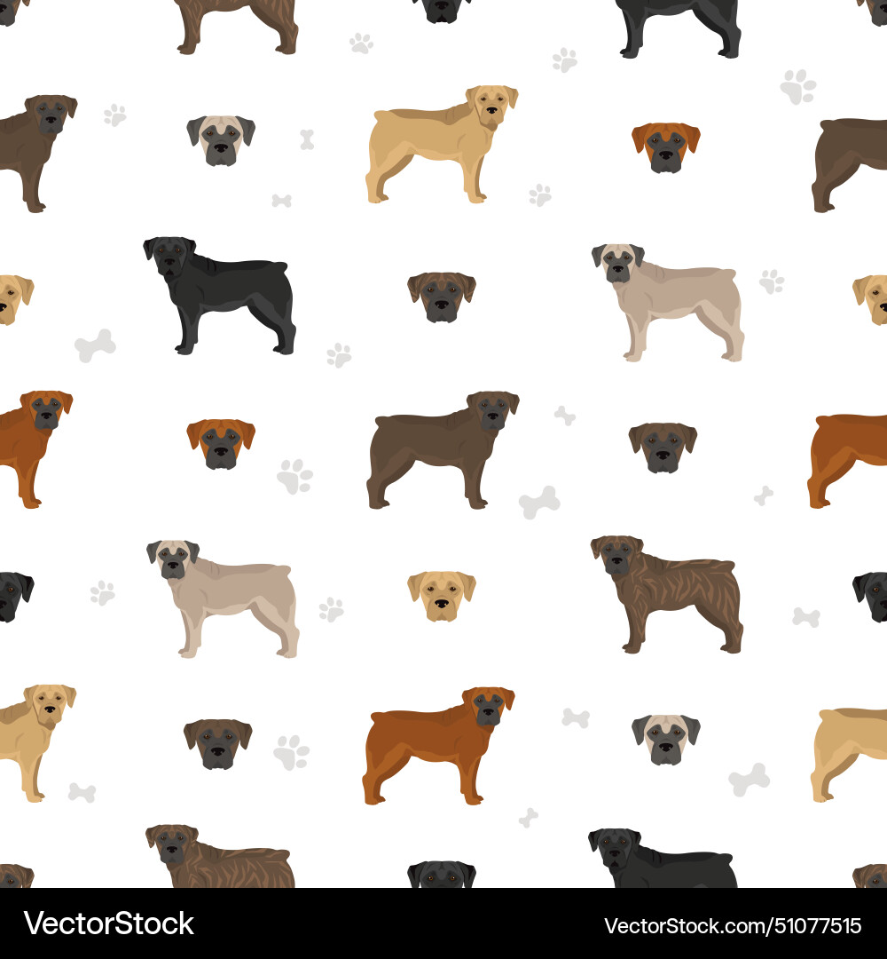 Boerboel seamless pattern different coat colors Vector Image