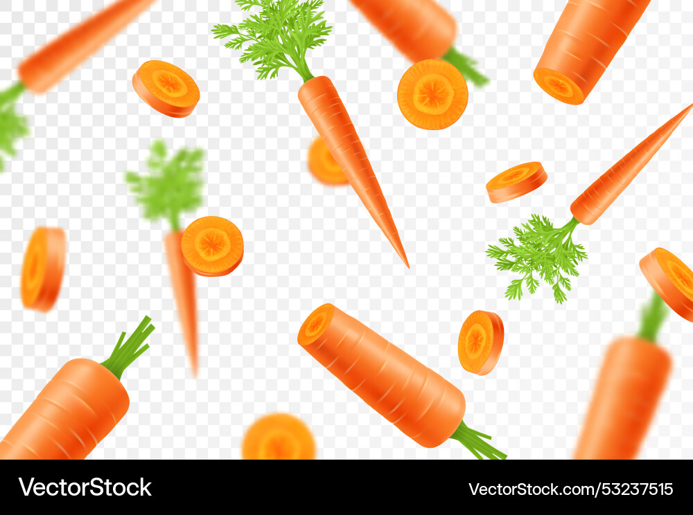 Falling carrots isolated on transparent Royalty Free Vector