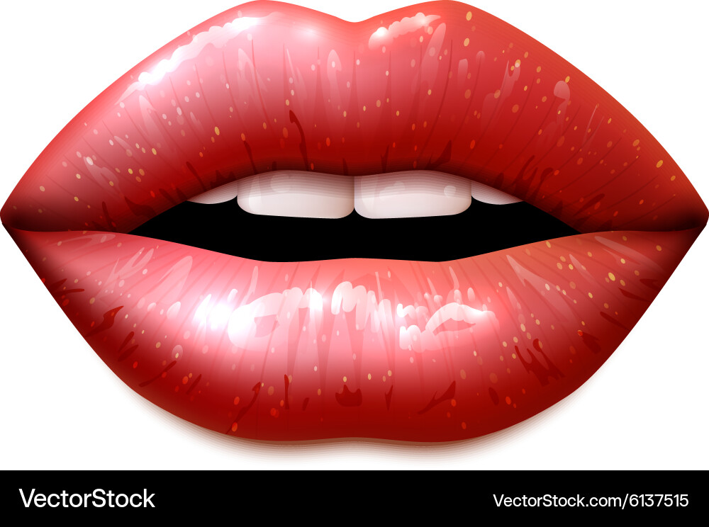Realistic female lips Royalty Free Vector Image