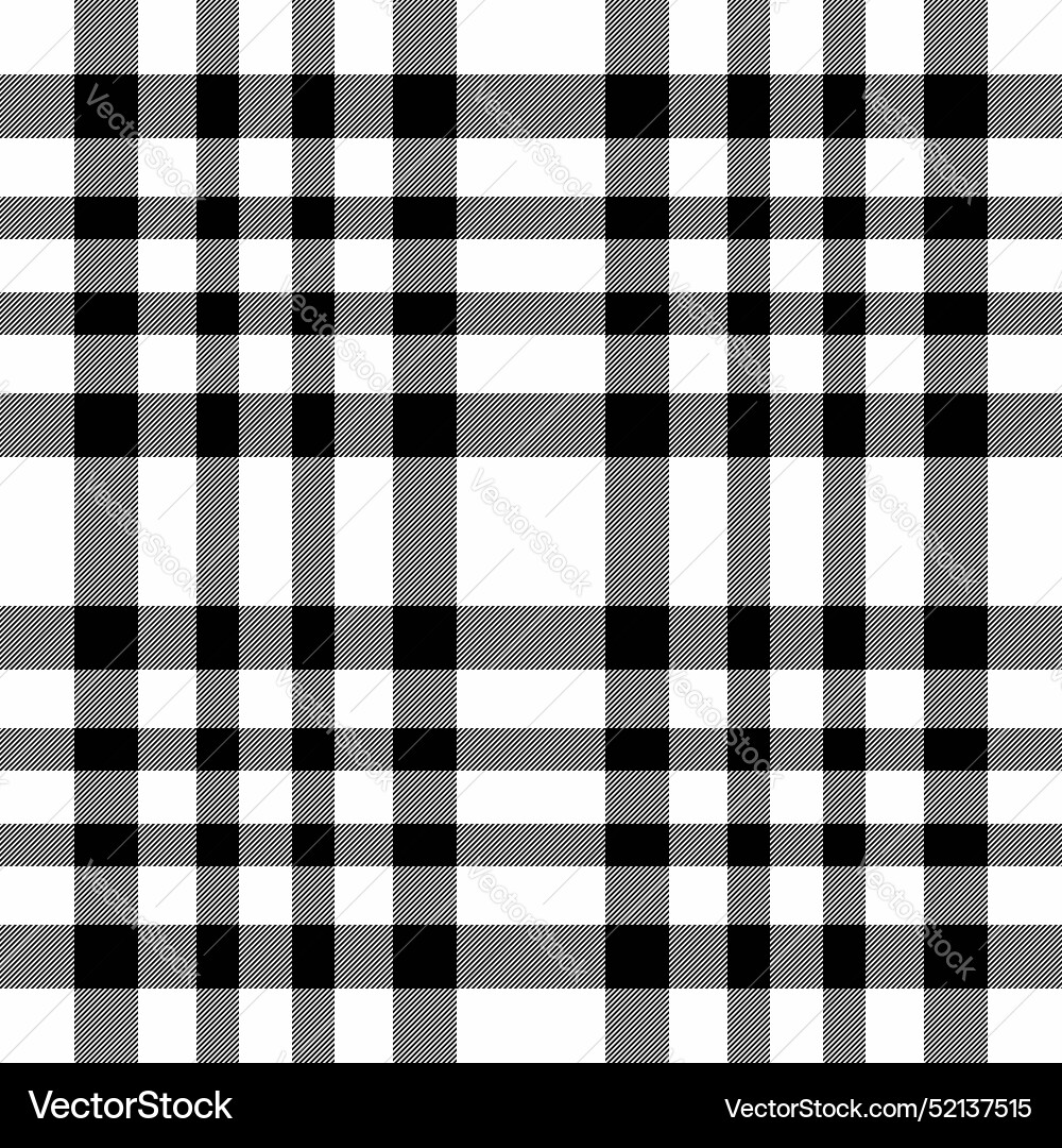 Stripe plaid background texture iconic pattern Vector Image