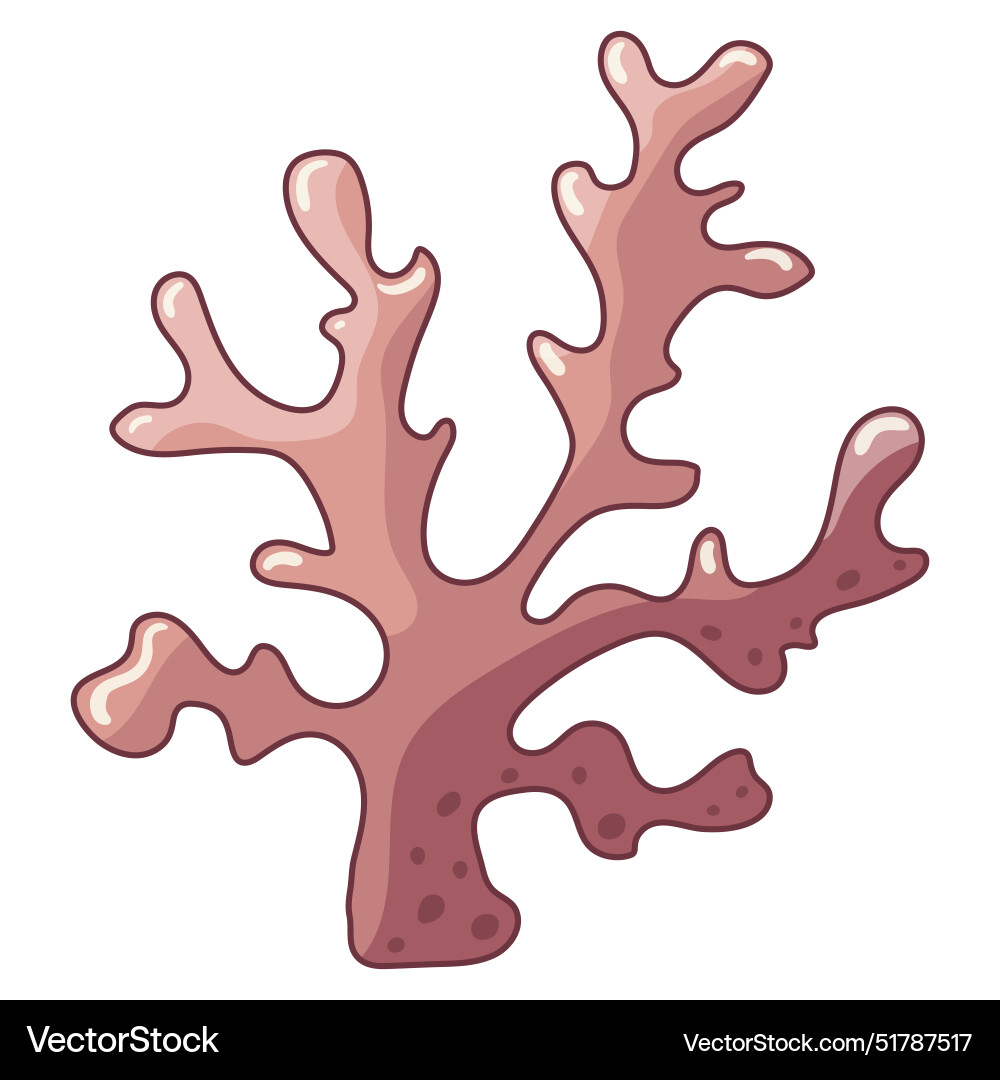Underwater pink wavy corals algae on a white Vector Image
