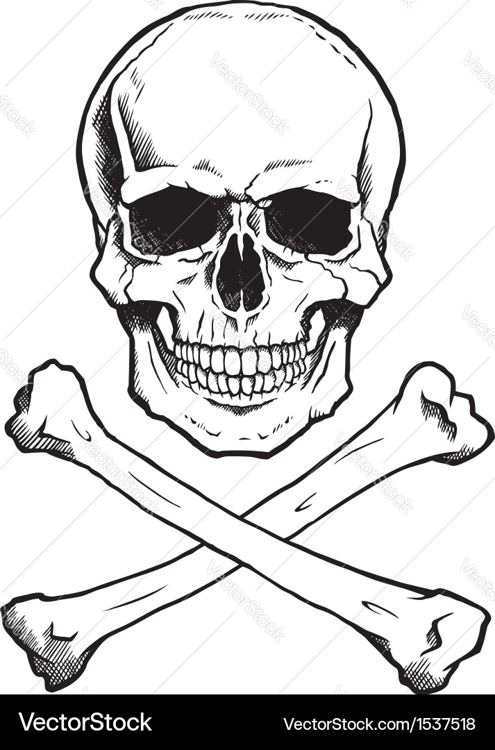 Human Skull With Crossbones