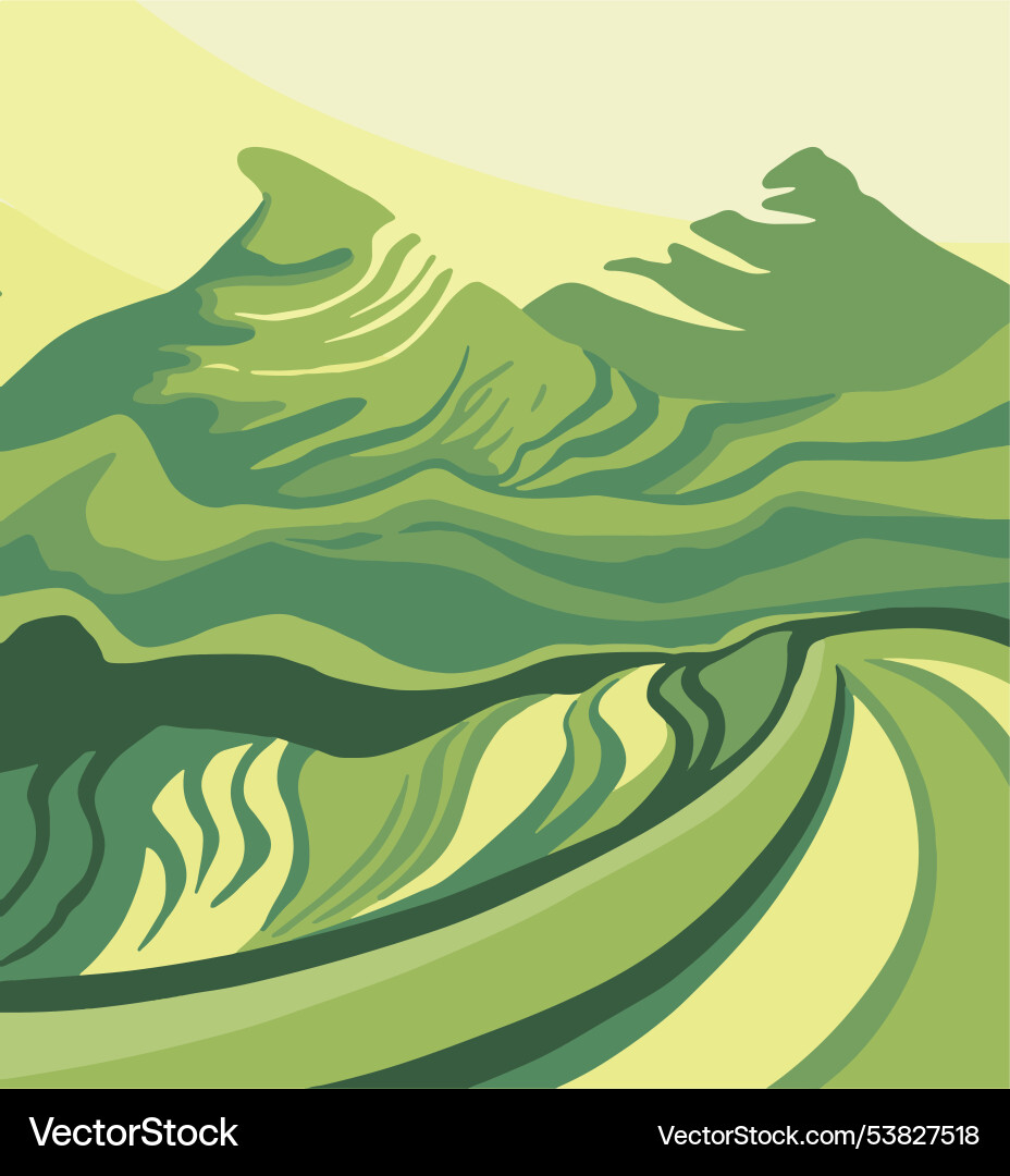 Green tea farm poster Royalty Free Vector Image