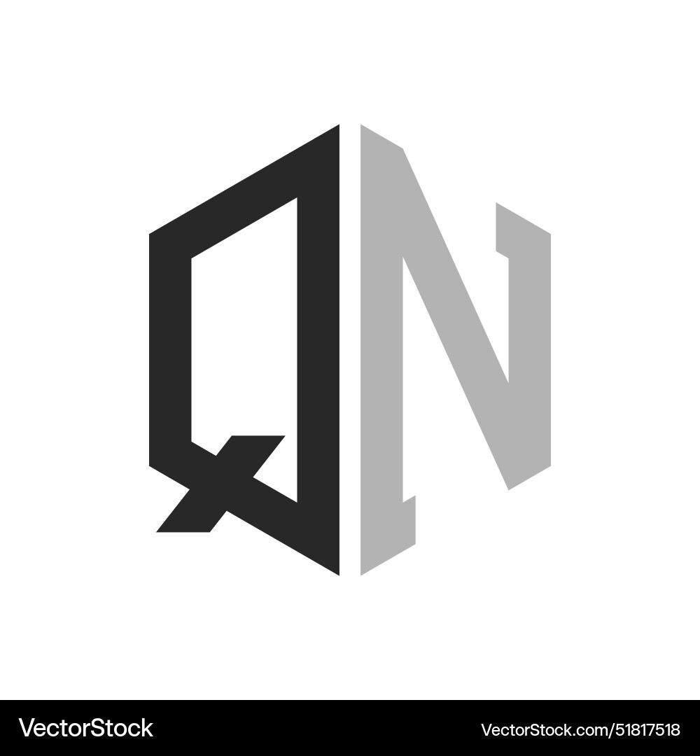 Modern unique hexagon letter qn logo design Vector Image