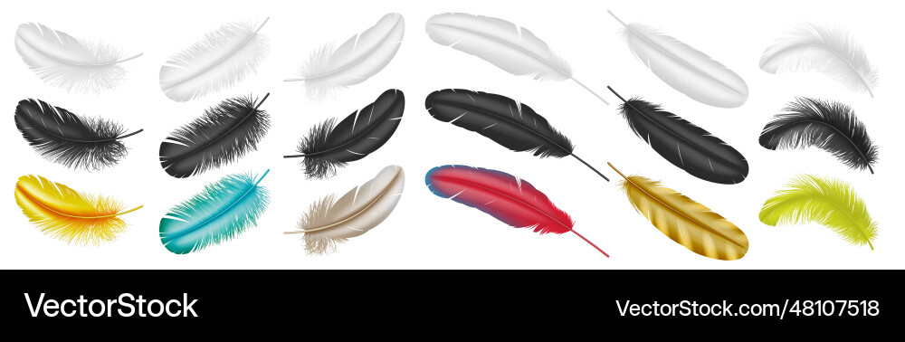 Realistic feathers set detailed bird plume Vector Image