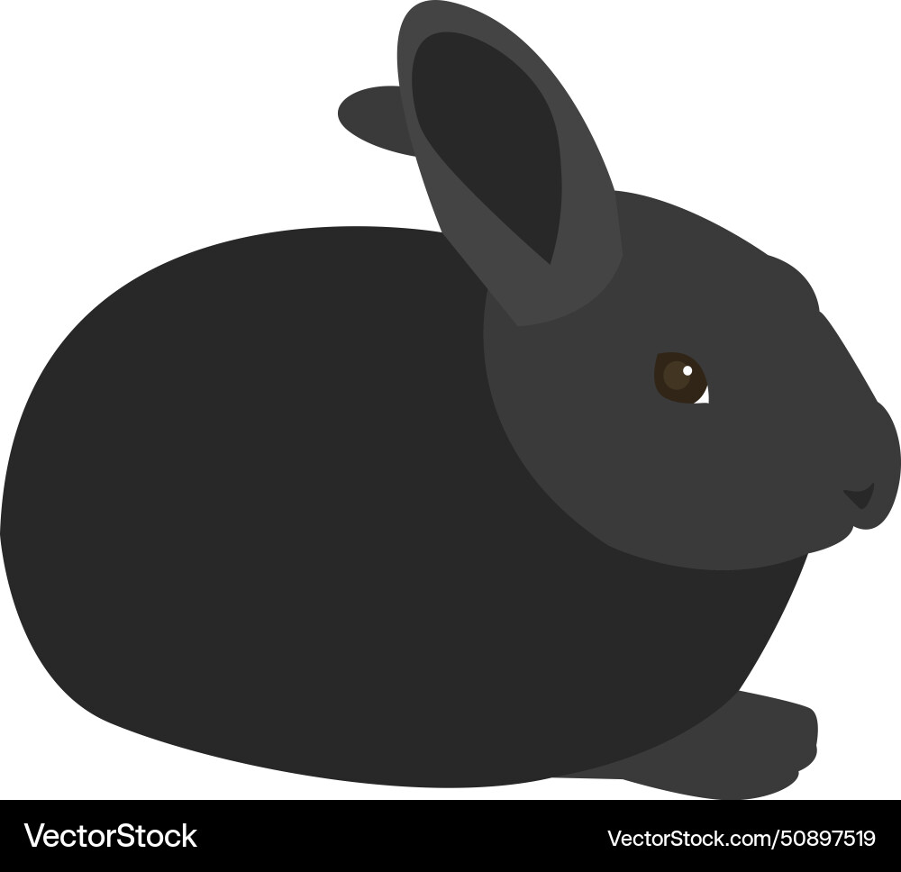 Black rabbit icon isolated on white Royalty Free Vector