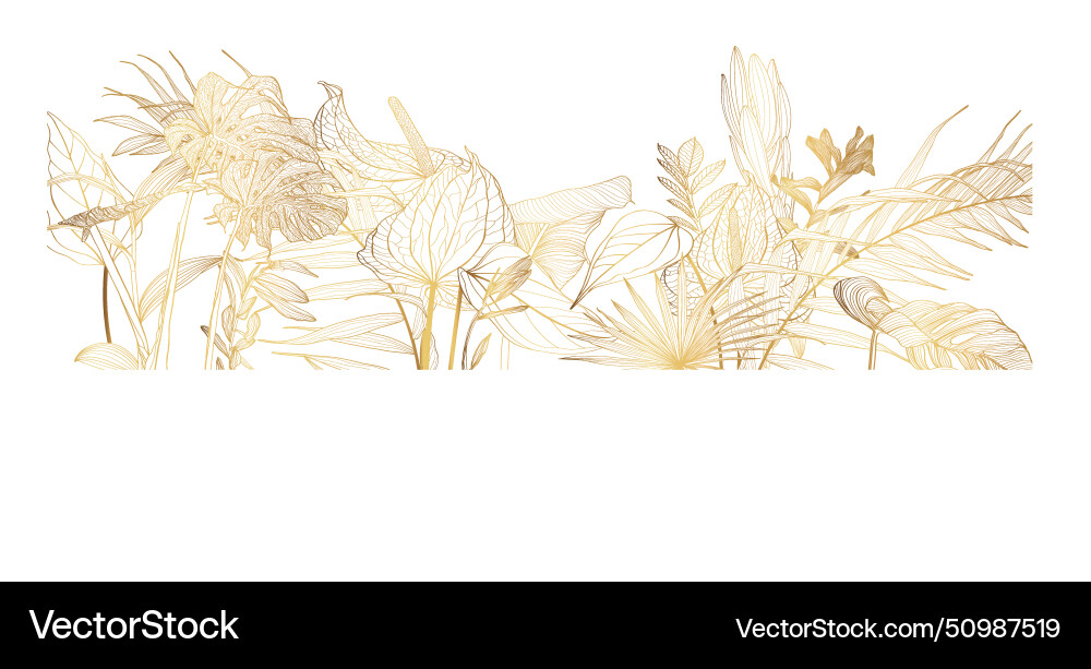 Horizontal border Royalty Free Vector Image - VectorStock
