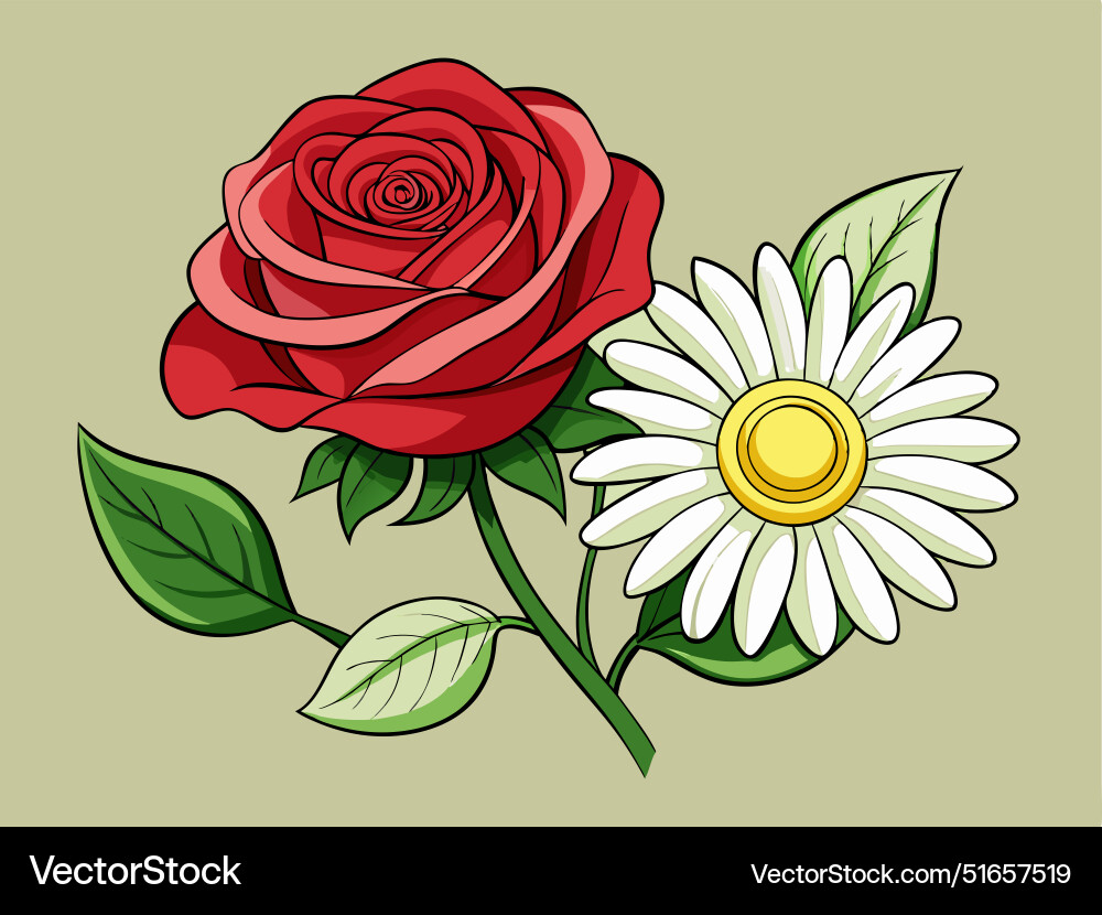 Rose and daisy b Royalty Free Vector Image - VectorStock