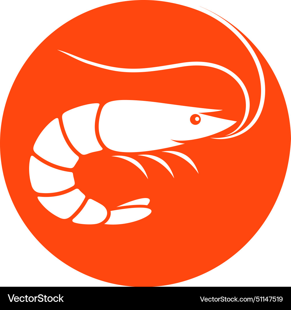 Shrimp Royalty Free Vector Image - VectorStock
