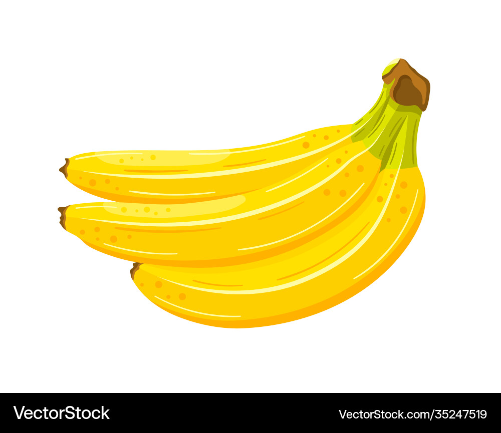 Yellow bananas isolated on a white background Vector Image