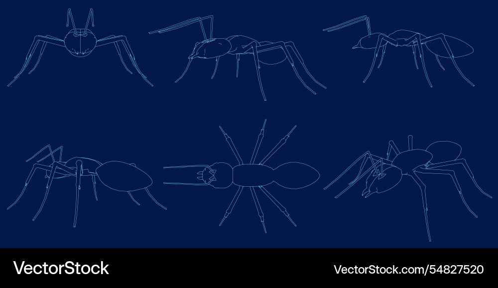 6 set ant line art Royalty Free Vector Image - VectorStock
