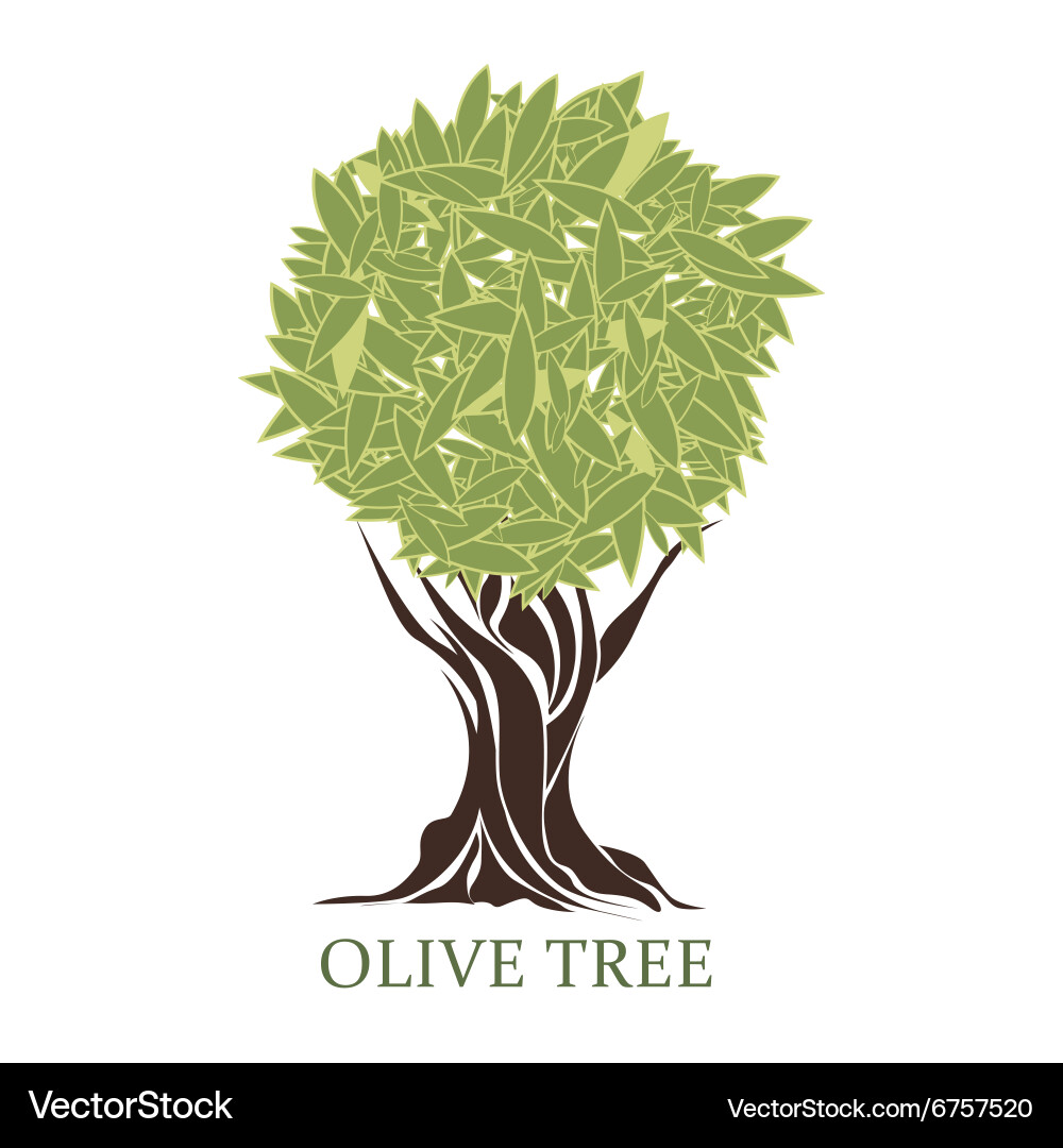 Olive Tree Logo Vector Images (over 5,600)