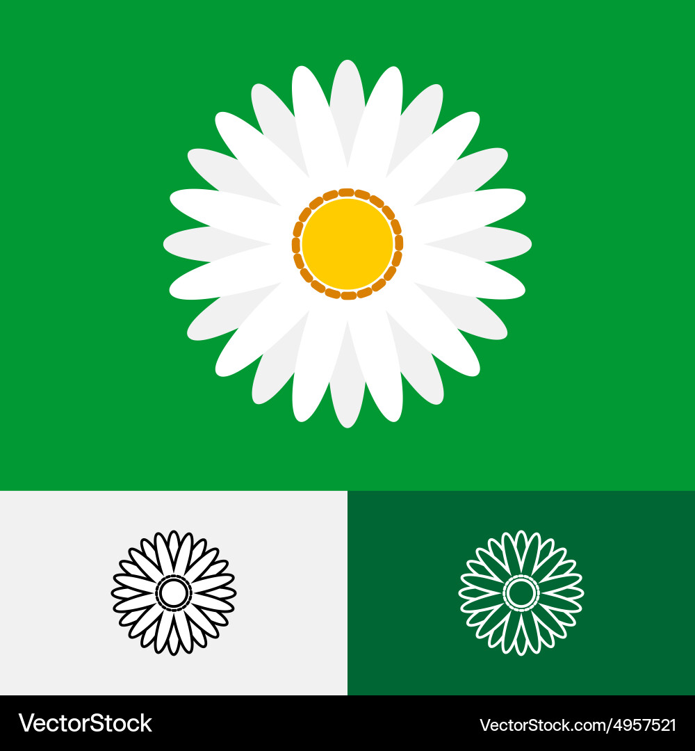 Camomile logo Royalty Free Vector Image - VectorStock