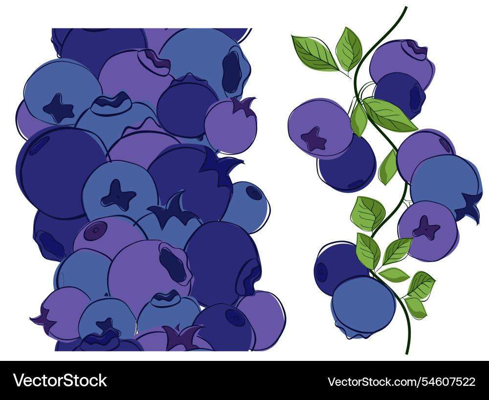 Blueberry branch seamless vertical border set Vector Image
