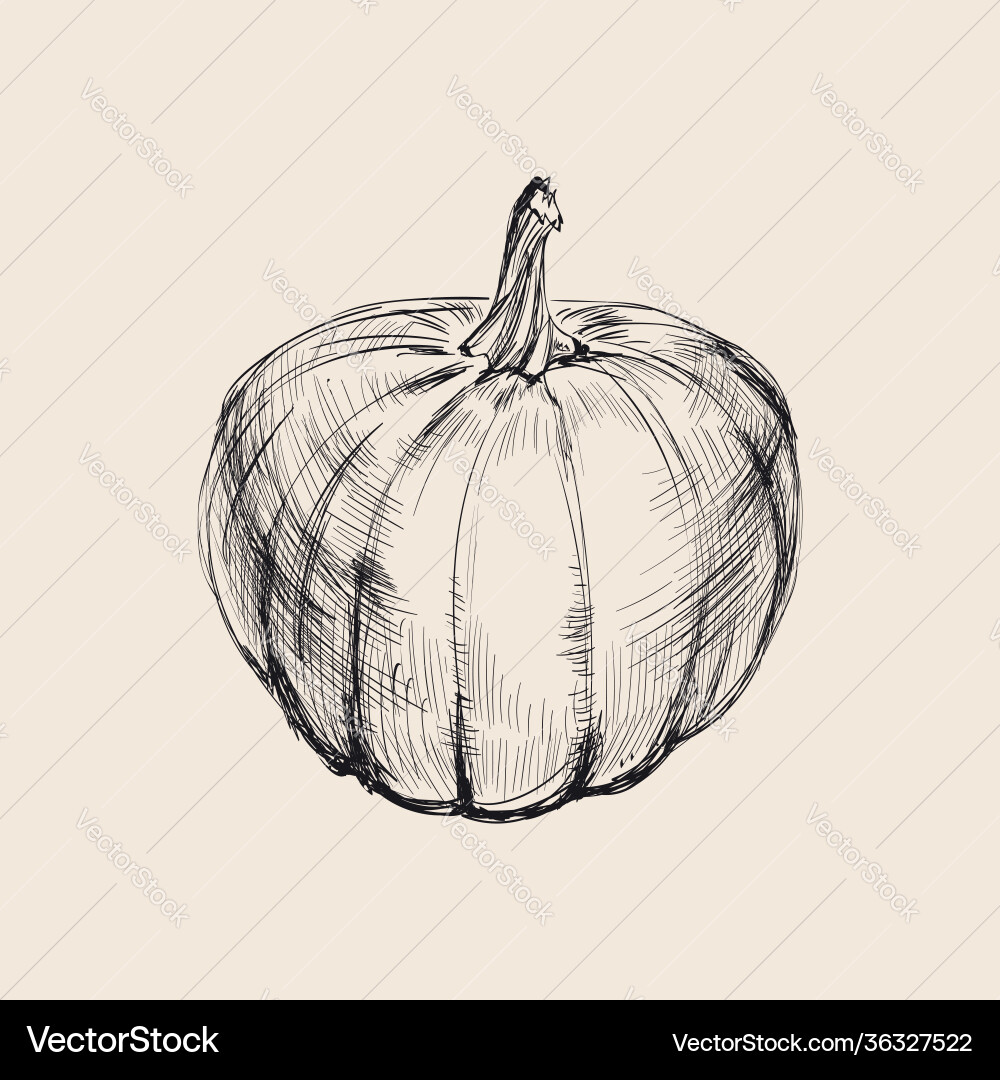 Pumpkin hand drawing Royalty Free Vector Image