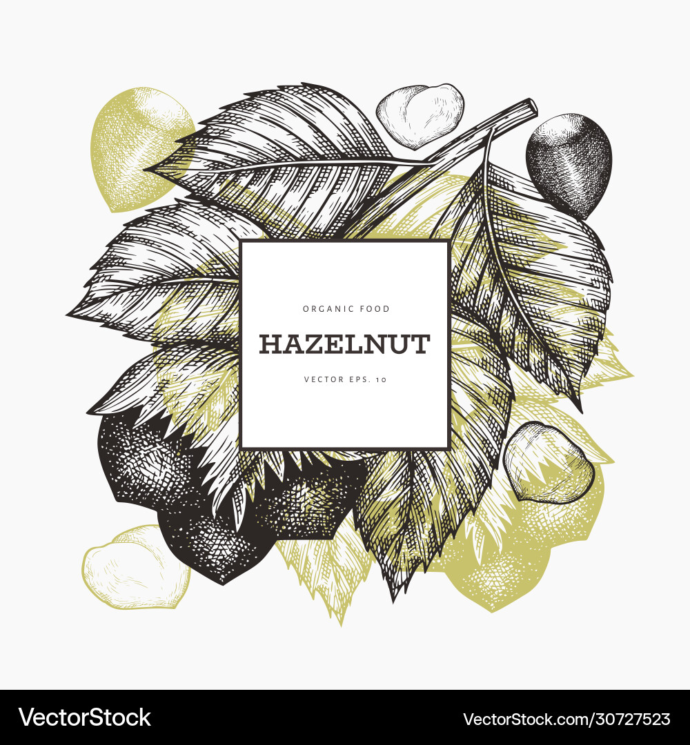 Hand drawn sketch hazelnut design template Vector Image
