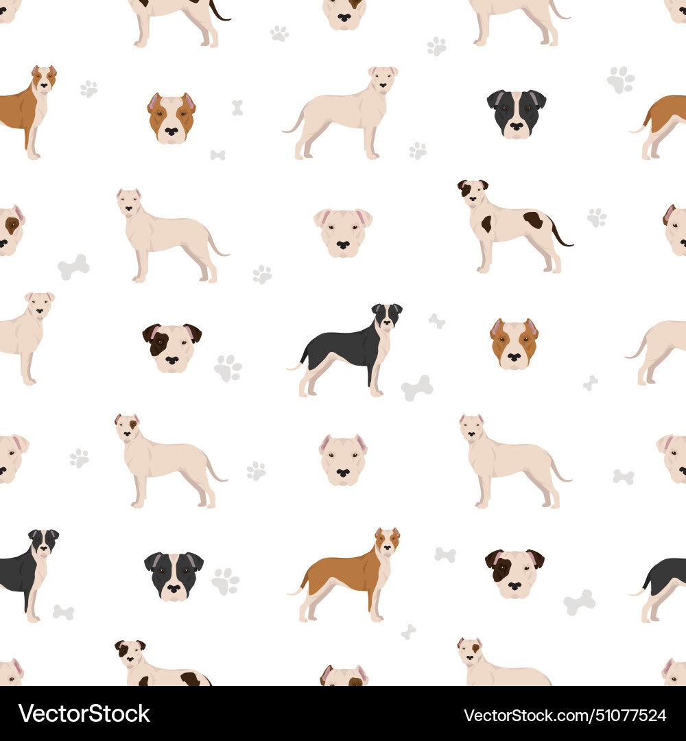 Brazilian dogo seamless pattern different coat Vector Image