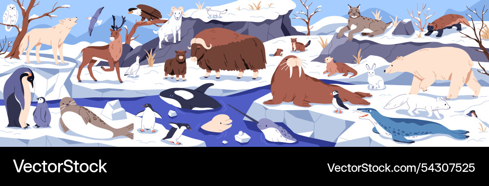 Arctic animals north pole landscape ice nature Vector Image