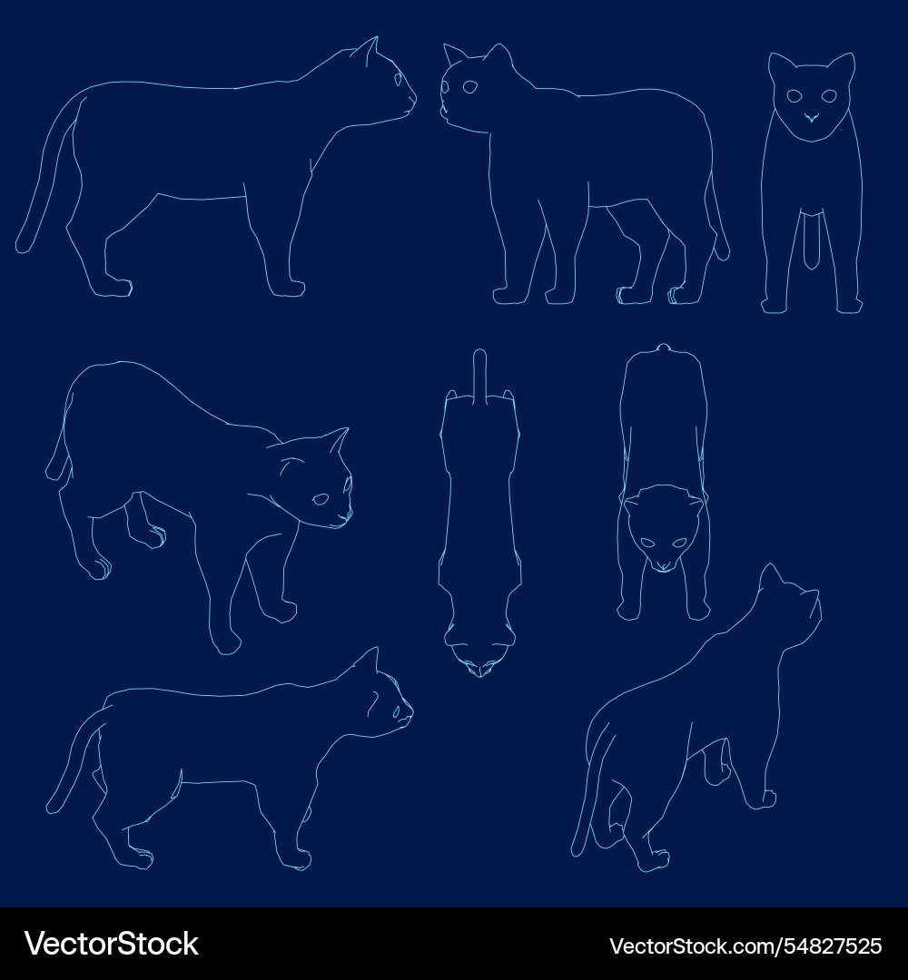 Set of contour cats Royalty Free Vector Image - VectorStock