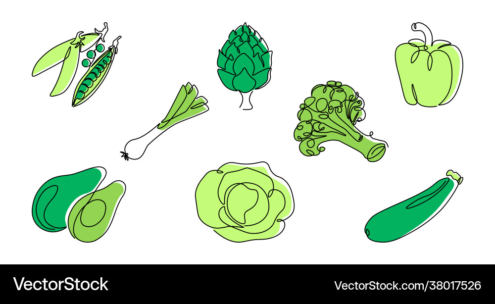 Green line vegetable continuous monoline healthy Vector Image