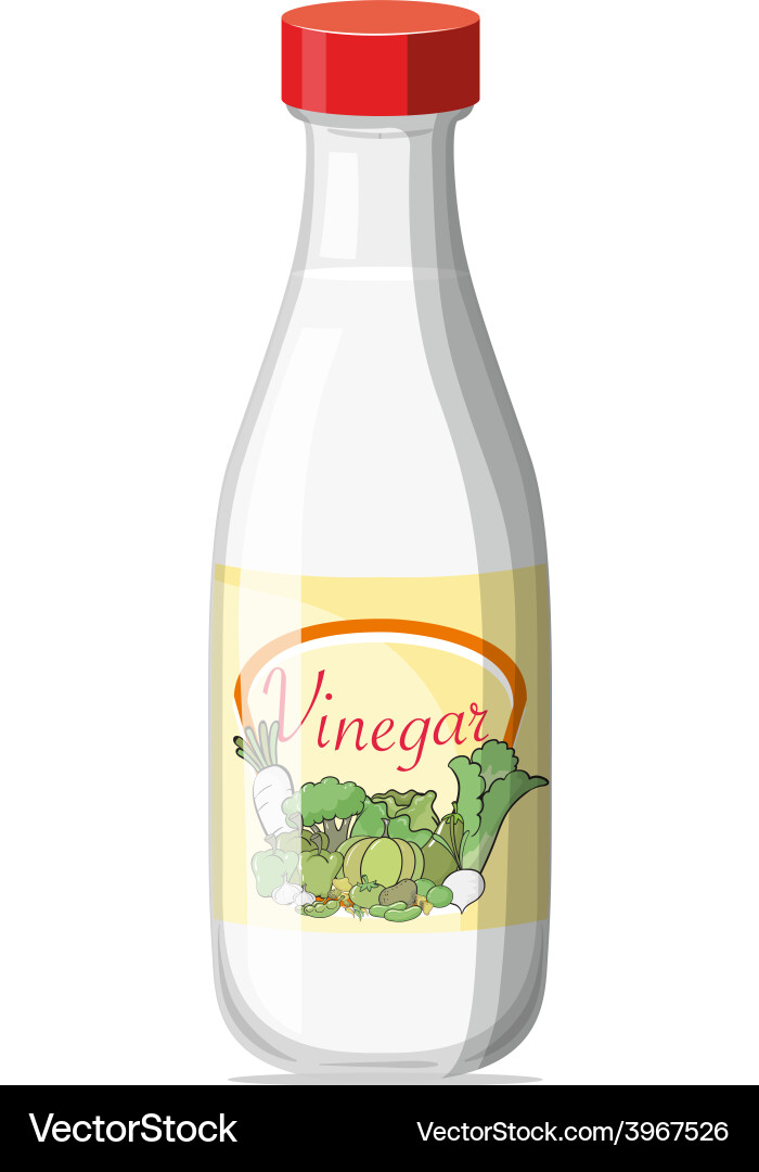Vinegar Royalty Free Vector Image - VectorStock