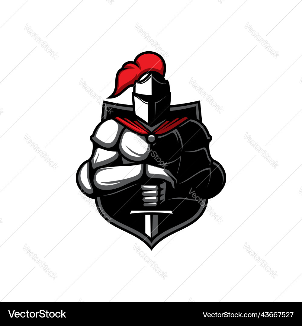 Knight with sword and shield crusader icon Vector Image