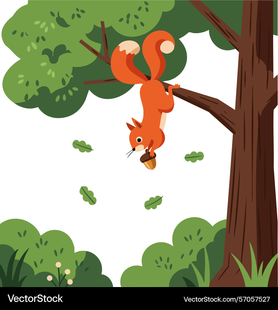 Red squirrel hanging upside down from tree branch Vector Image